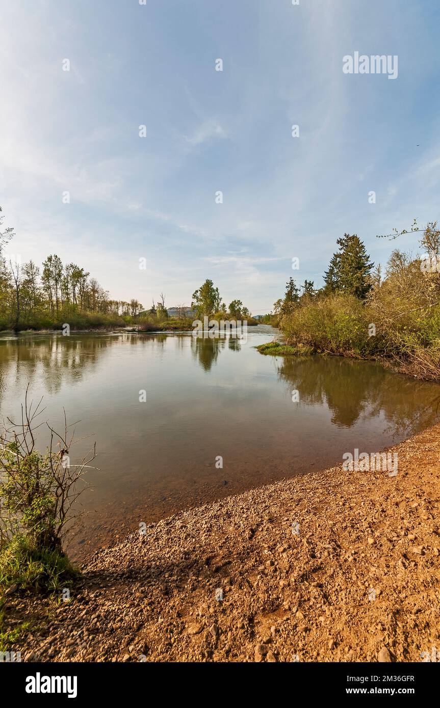 Coast Fork Willamette River near Mt Pisgah Arboretum, at park near ...