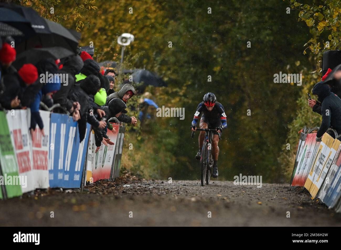 Dutch Lars Van Der Haar pictured in action during the Koppenbergcross ...
