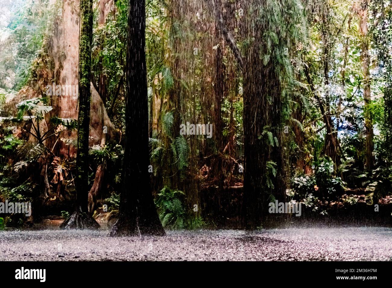 Whipping storm hi-res stock photography and images - Alamy