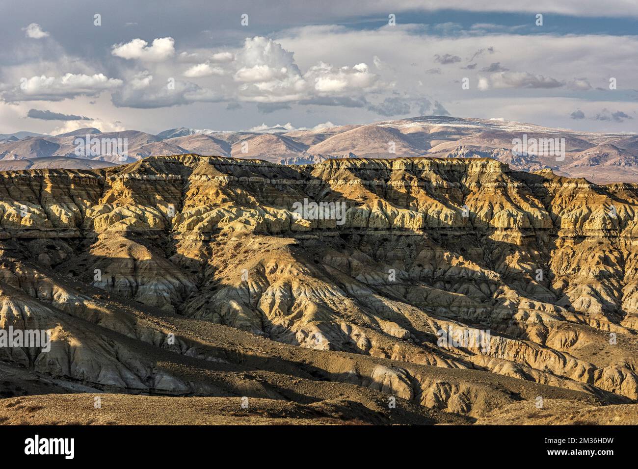 The unique landscape of Zanda earth forest during the sunset in Ali ...