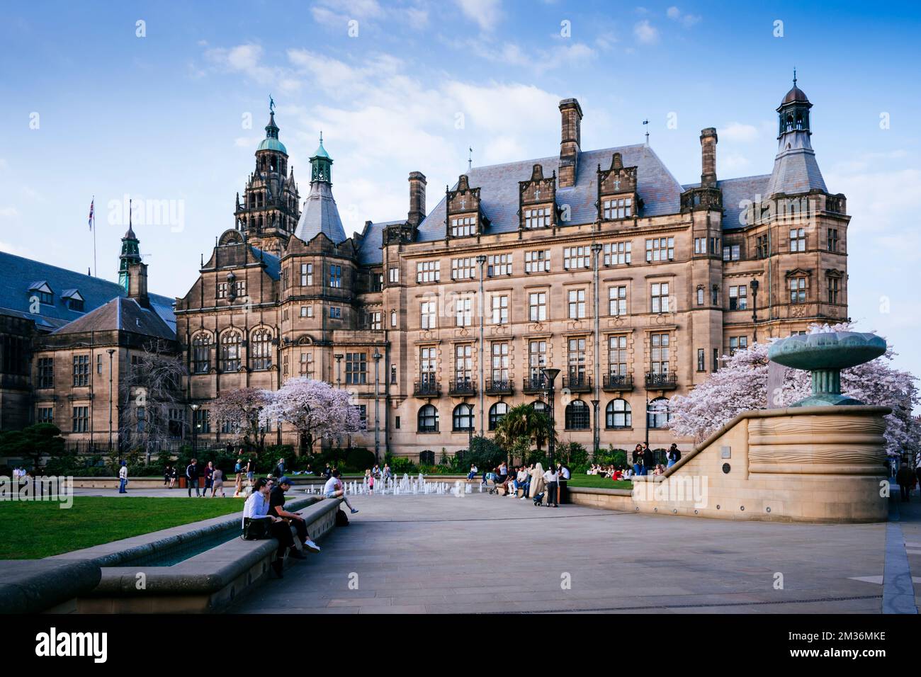 Sheffield trees blossom hi-res stock photography and images - Alamy