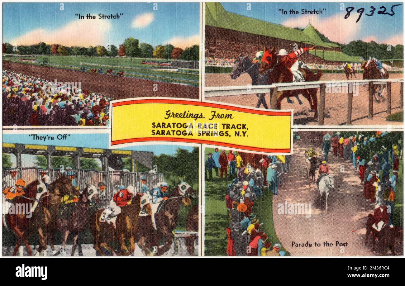 Greetings from Saratoga Race Track, Saratoga Springs, N. Y. , Sports ...