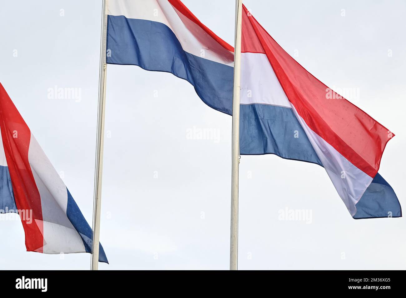 Dutch flags pictured at the women's elite race of the 7th stage (out of ...