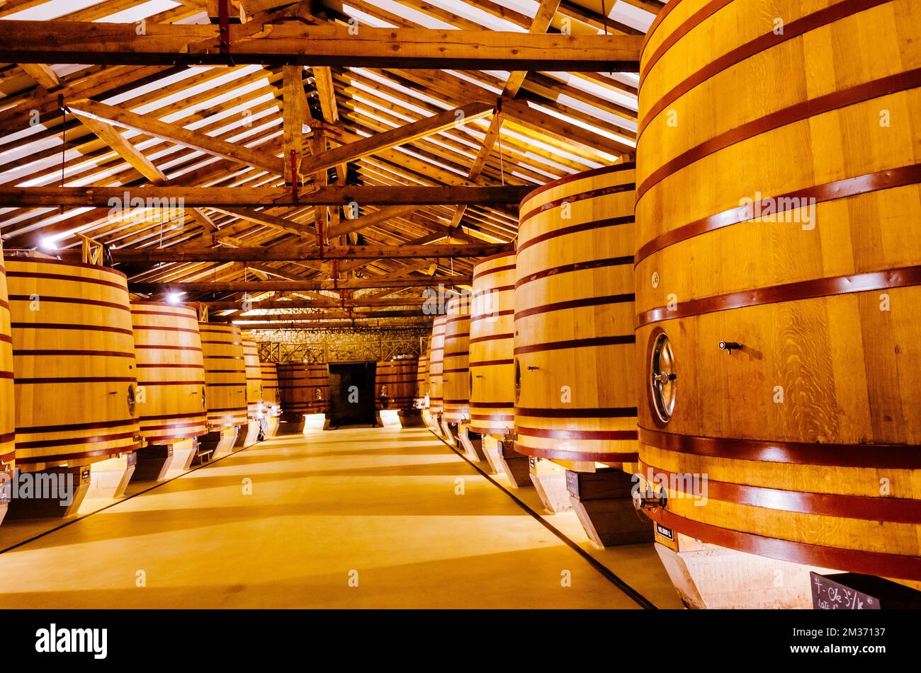 Bodega Real de Asúa. Compañía Vinícola del Norte de España, CVNE, is a ...