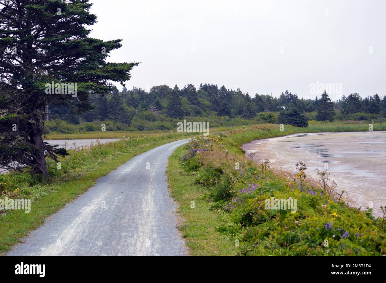 The Salt Marsh Trail, a rails-to-trails project in Cole Harbour, Nova ...