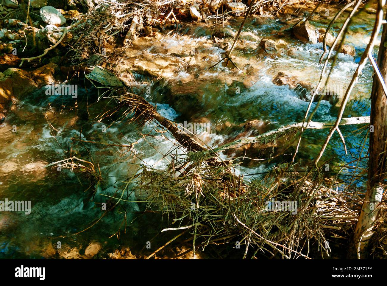 Stream with remnants of weeds after the winter growth. Frailes, Jaén ...