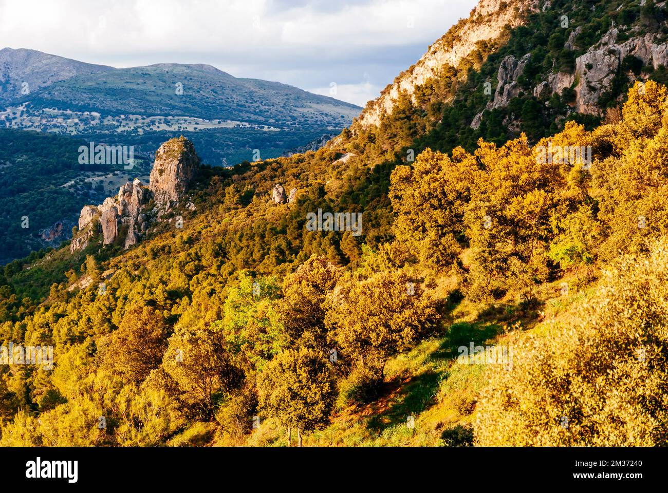 In the mountains of the Sierra Sur de Jaén you will find native Mediterranean forests. Jaén ...
