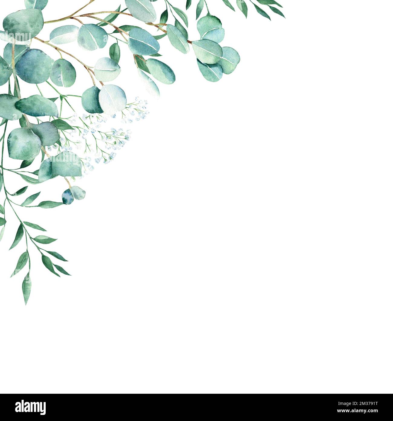 Watercolor frame, eucalyptus, gypsophila and pistachio branches. Rustic ...