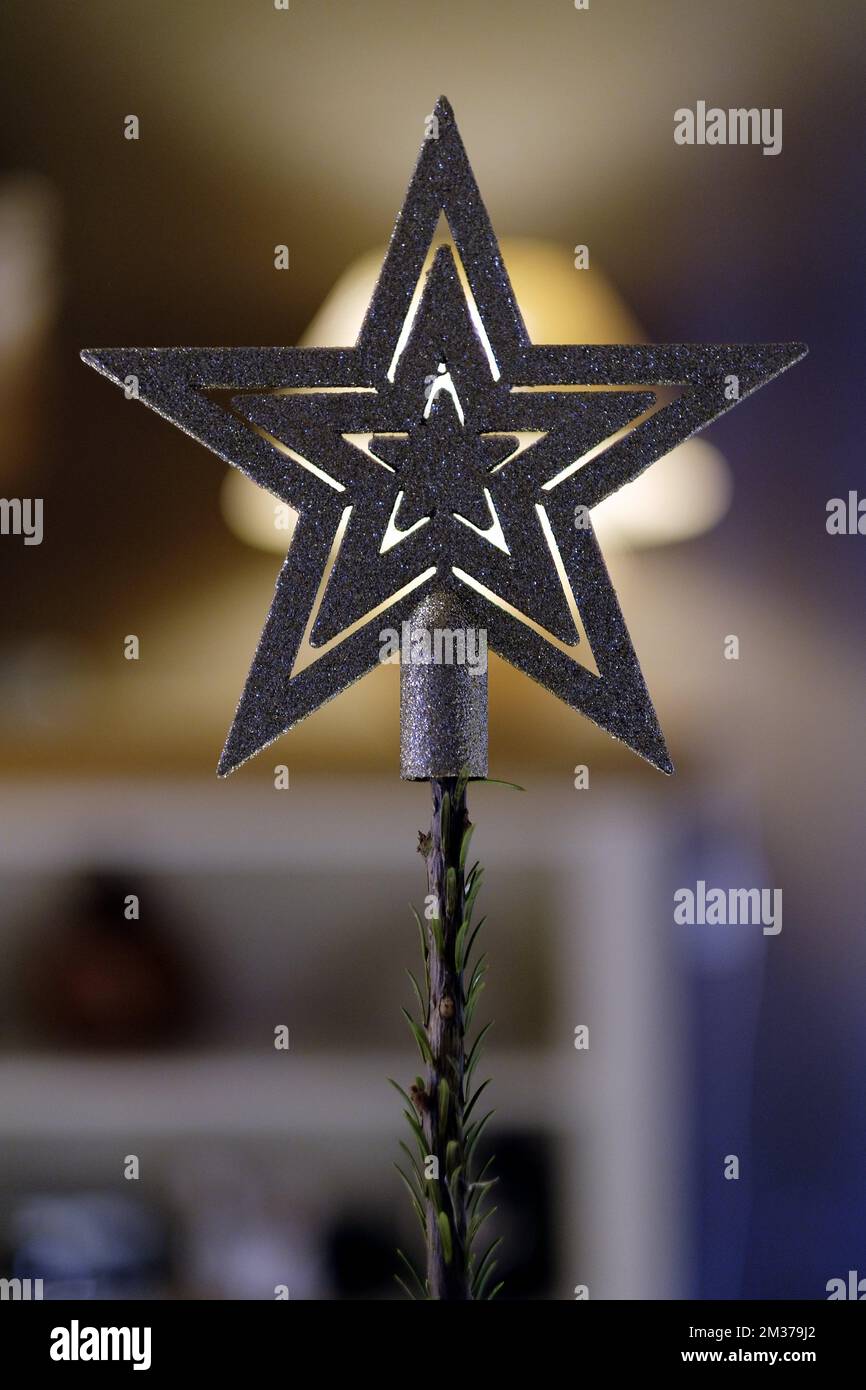 Illustration picture shows the star in the top of a Christmas tree with ...