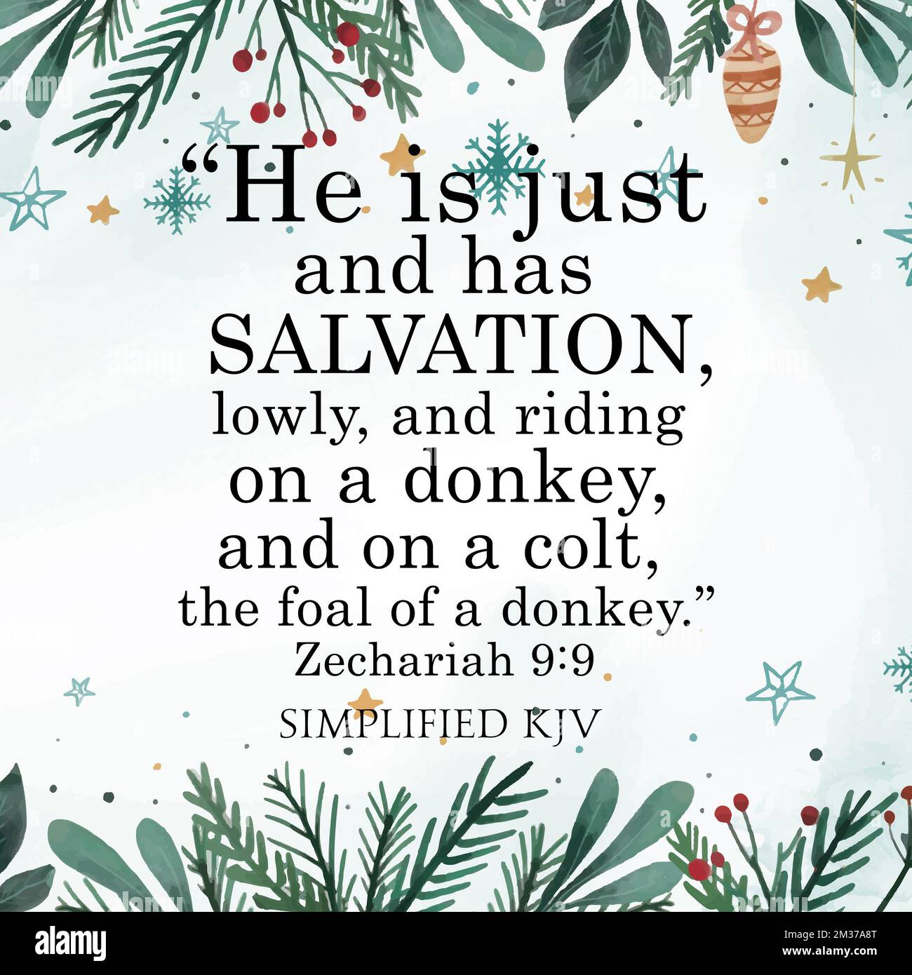 Lowly donkey hi-res stock photography and images - Alamy