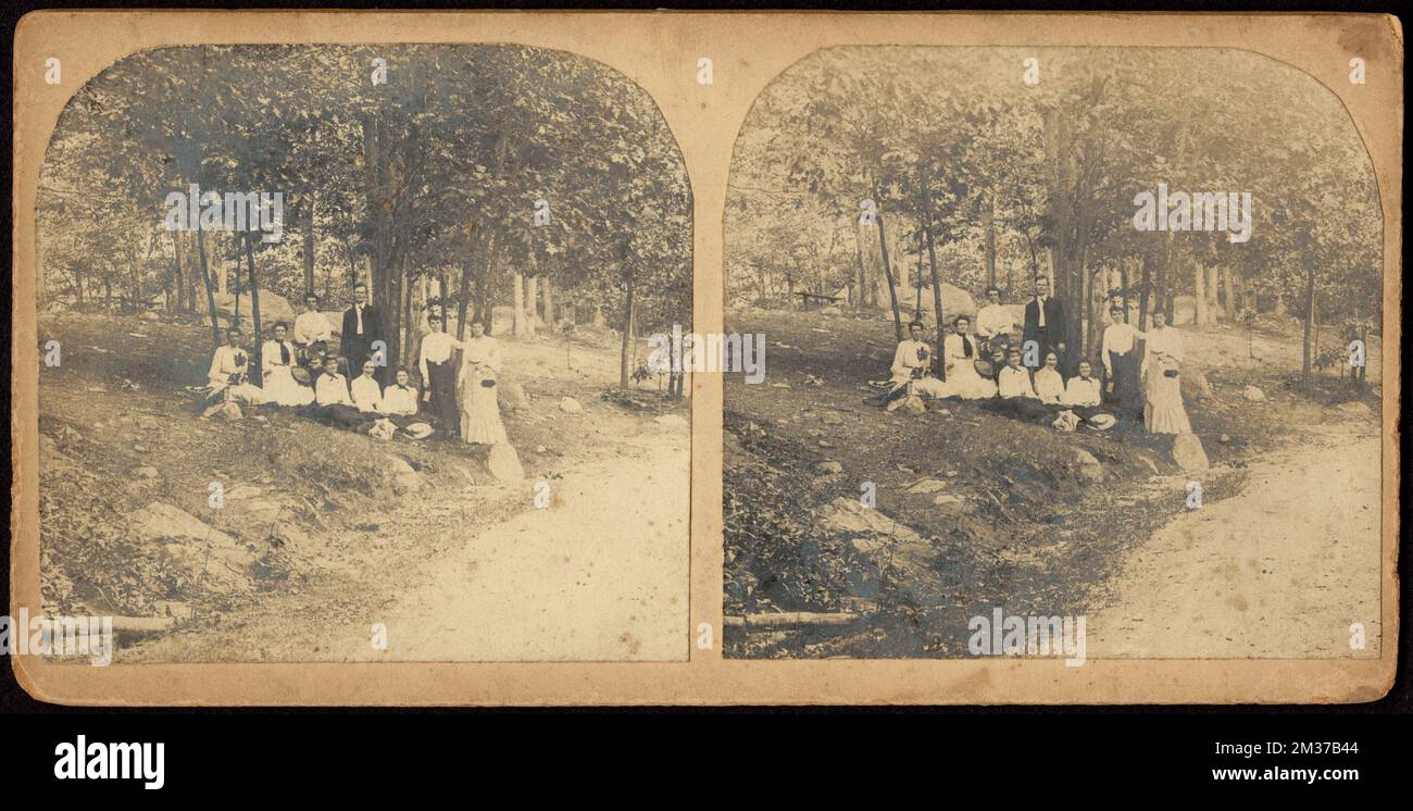 Group portrait, posed on a hillside , Hills, Trees Stock Photo - Alamy