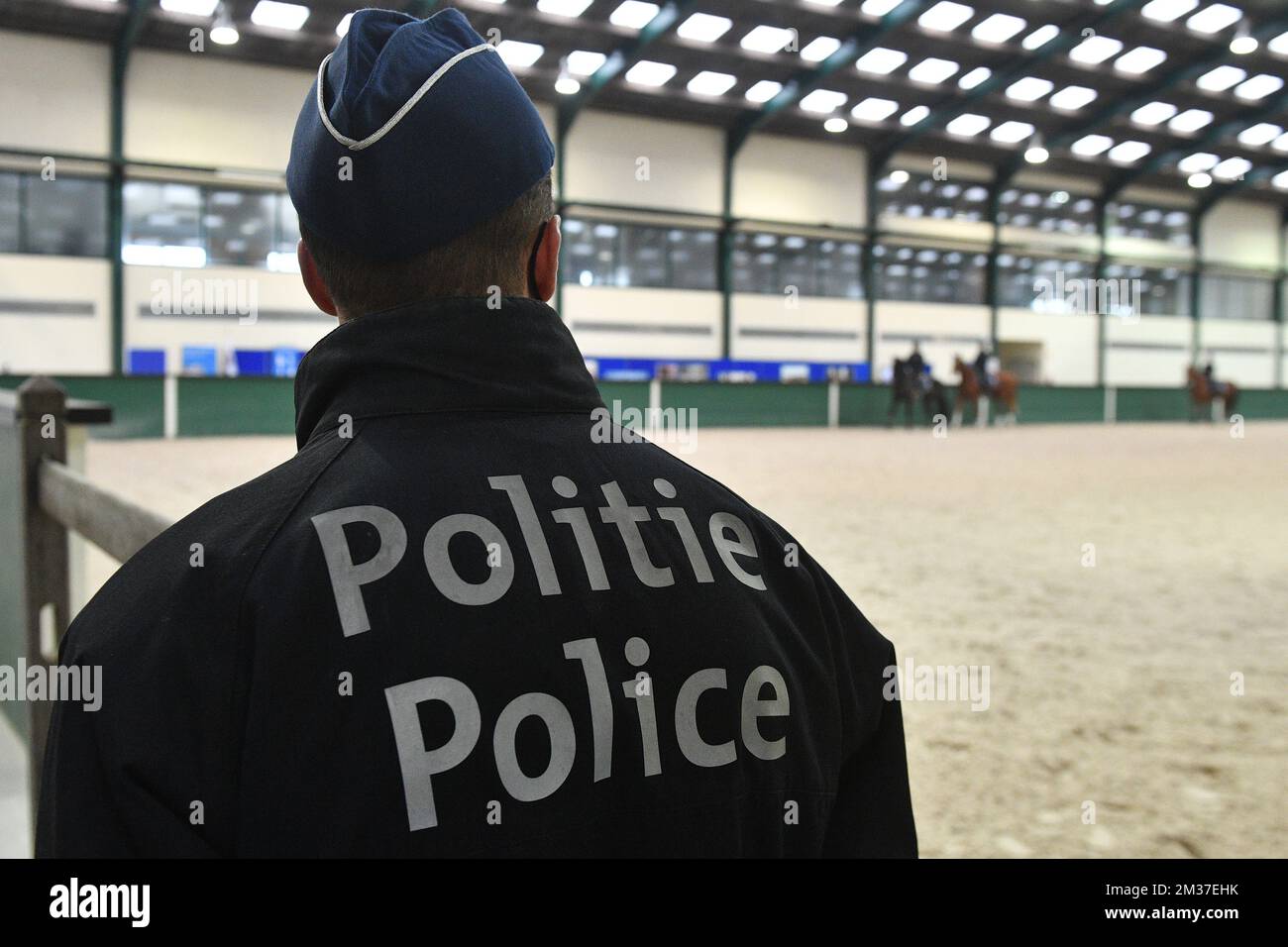 Illustration picture taken during a visit to the Haras de Wisbecq, a ...
