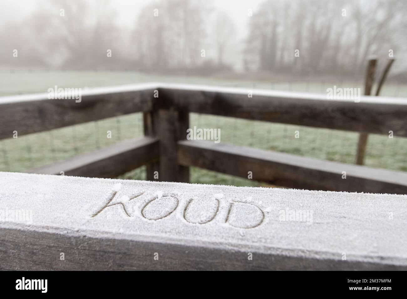 Illustration picture shows the word Koud (Dutch - cold) written in ice ...