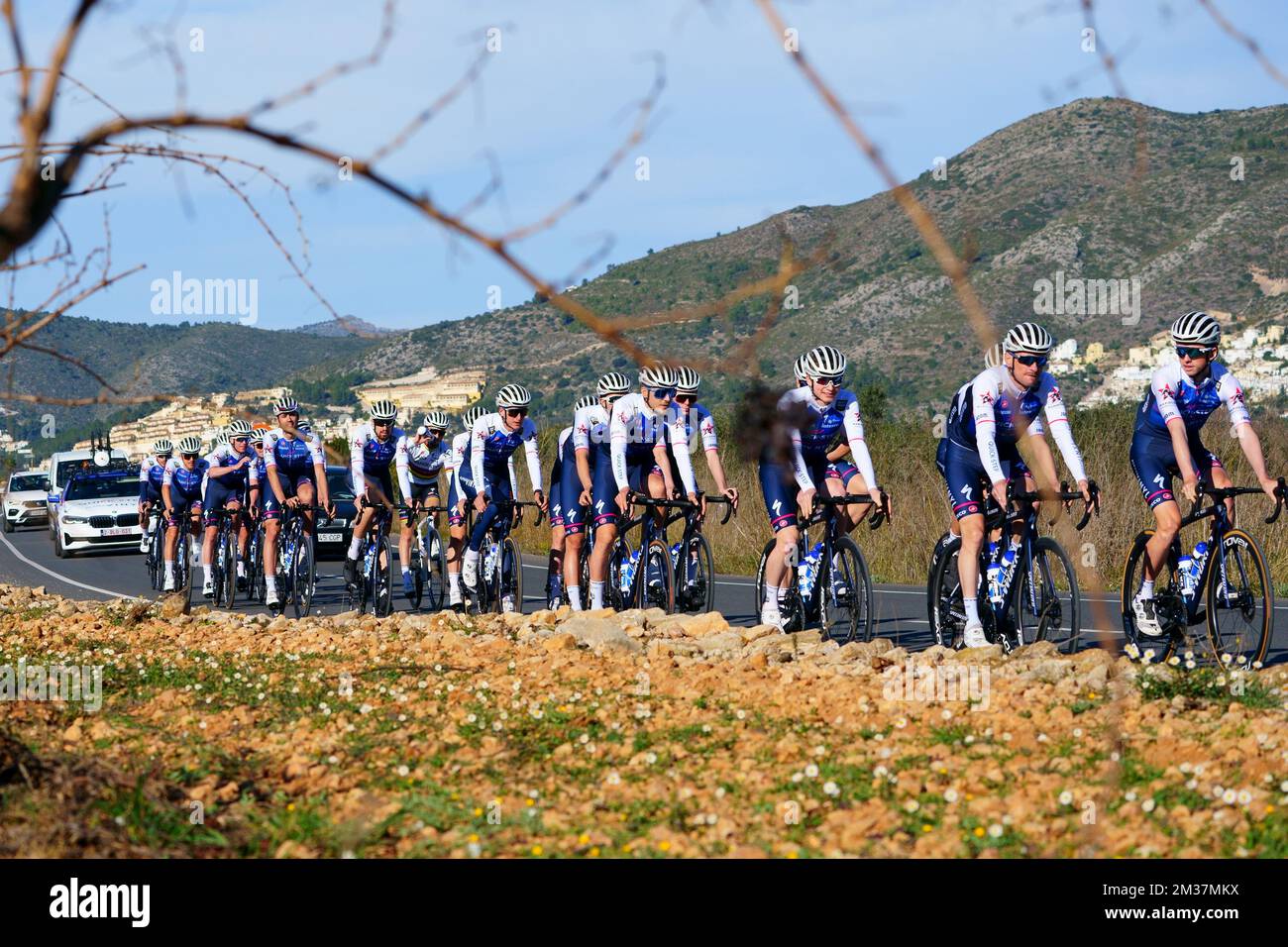 Team quick step alpha vinyl hi-res stock photography and images - Alamy