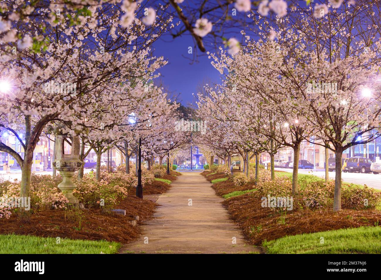 Georgia flower usa hi-res stock photography and images - Alamy