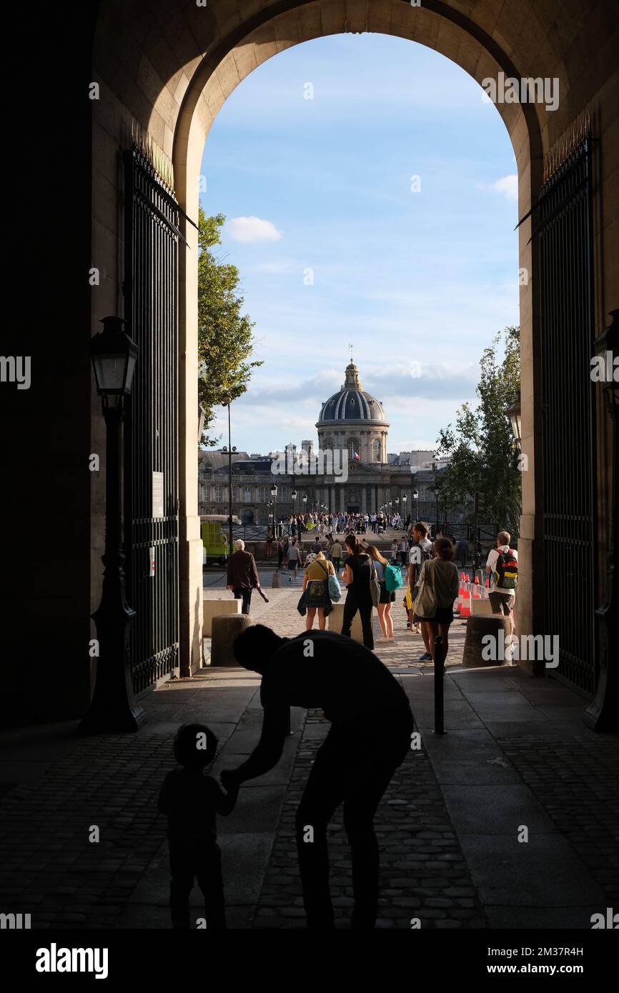 A vertical shot of the French Institute, the Pont des arts bridge in ...