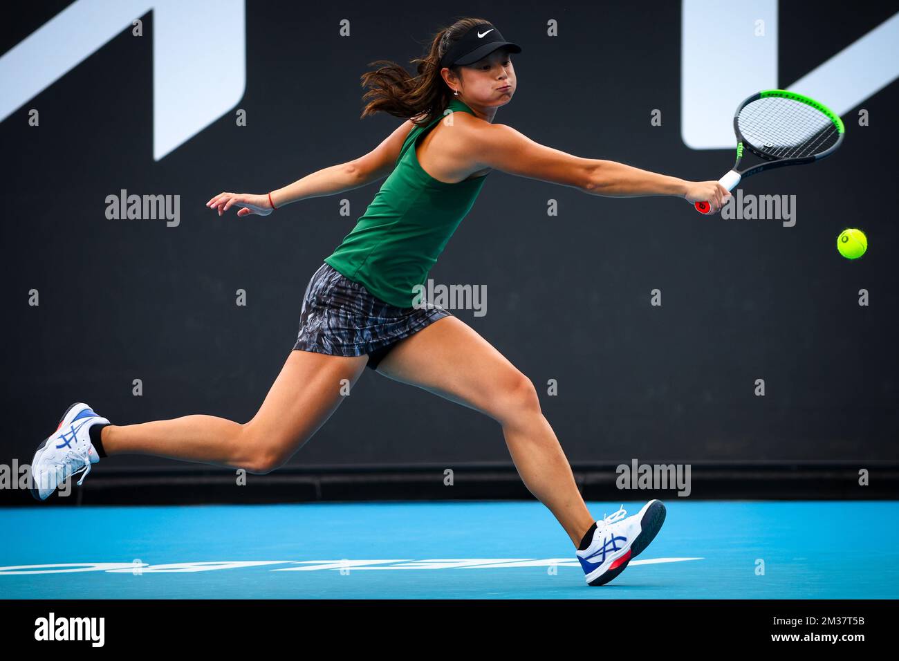 Hartono hi-res stock photography and images - Alamy