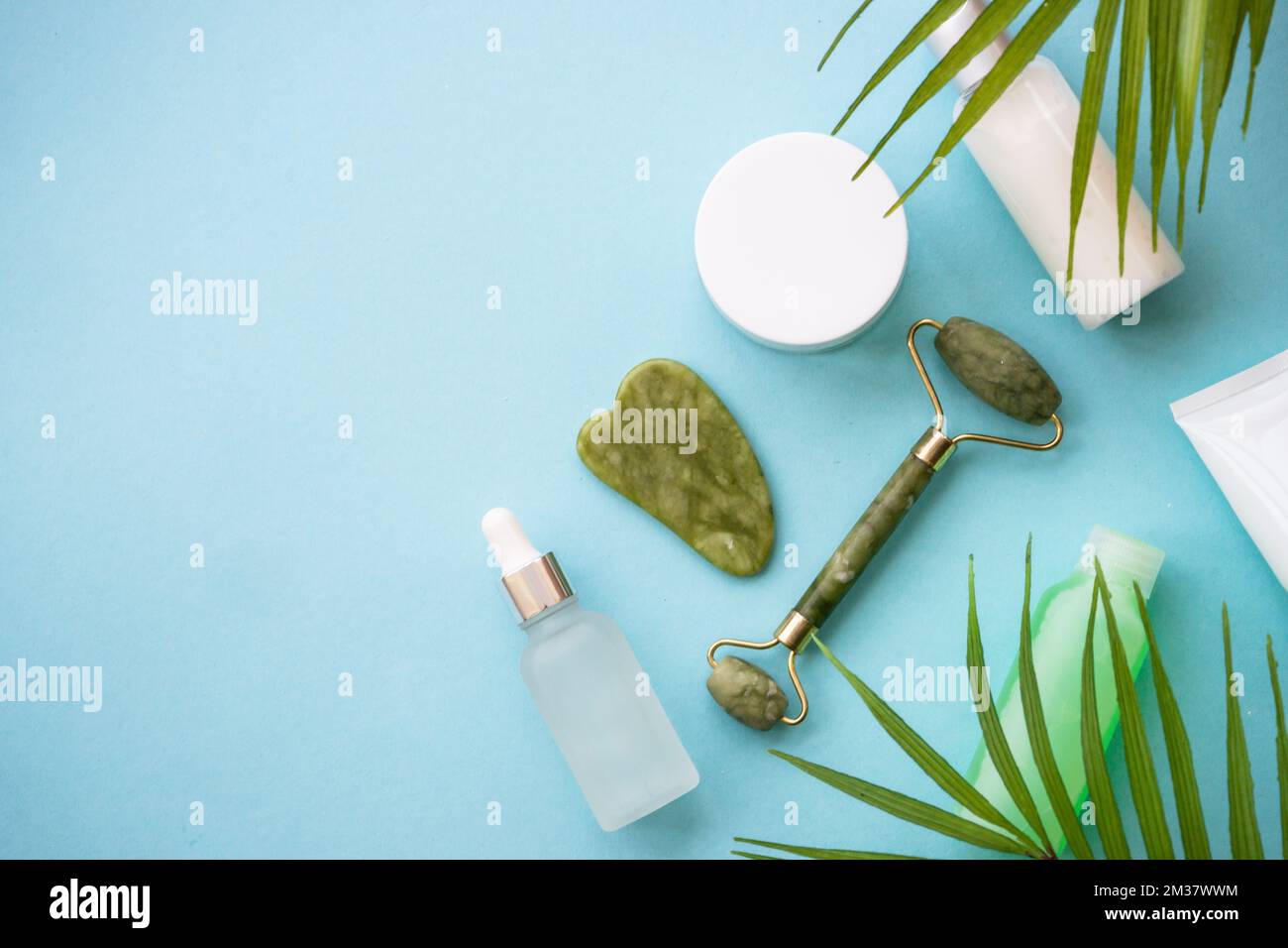 Natural cosmetic product with palm leaves on blue background Stock ...