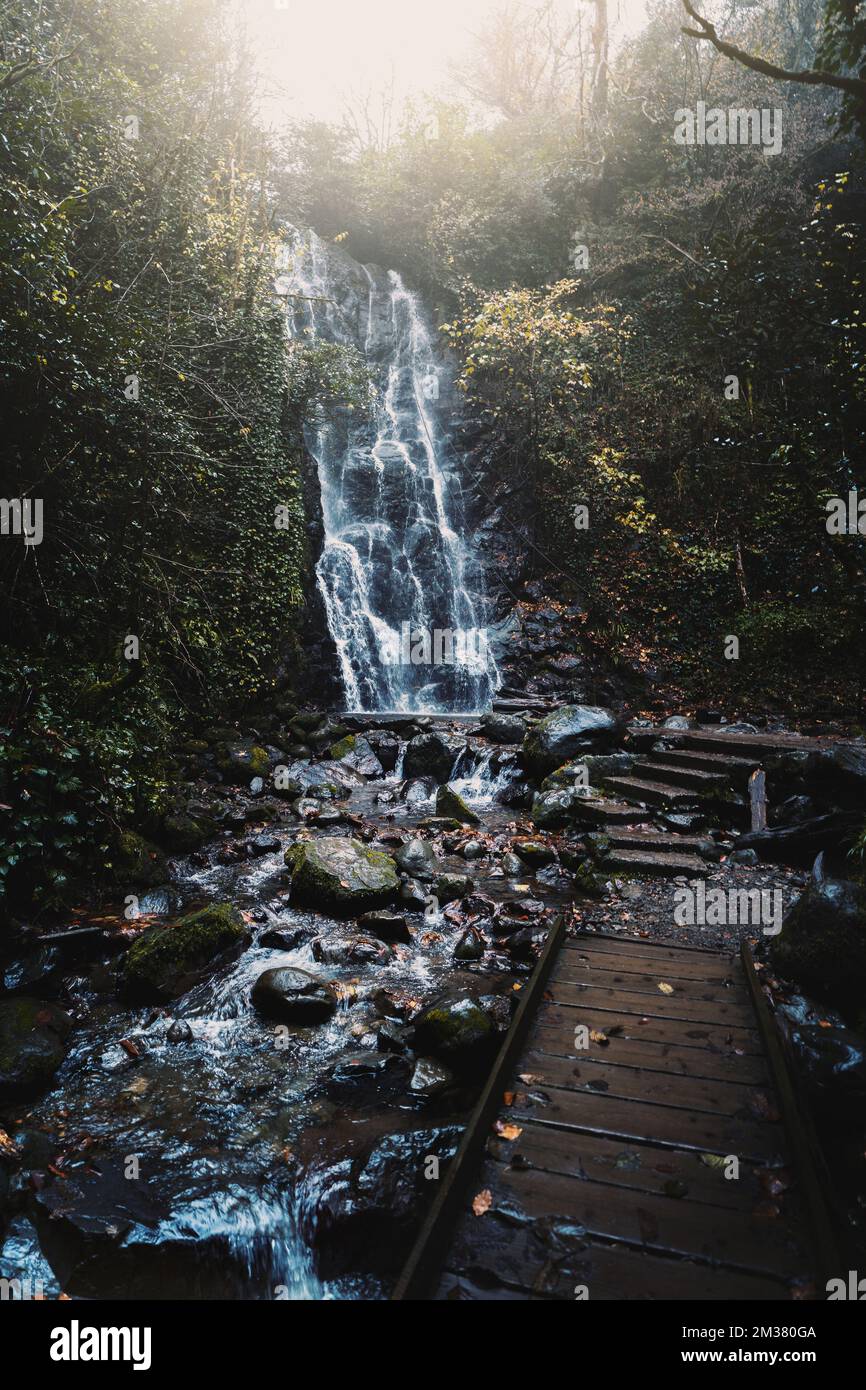 Waterfall in dark green forest. Mountain cascade river splashing on ...