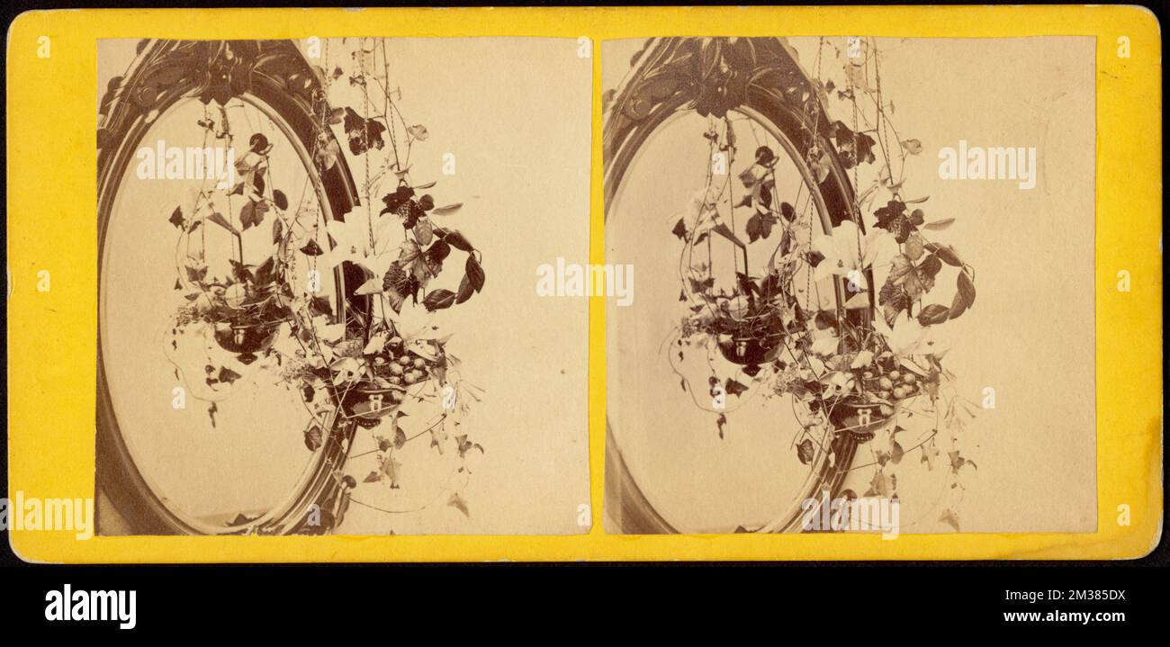 Flowers visual effect mirror hi-res stock photography and images - Alamy