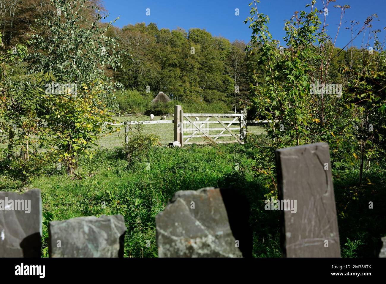 Woden gate , pasture and fruit trees at Saint Fagans National Museum of ...