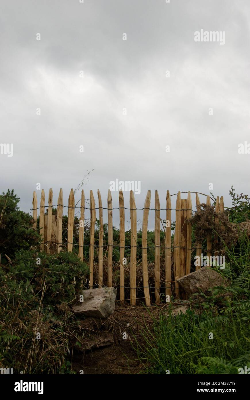 Small wooden fence, boundary to neighbors Stock Photo - Alamy