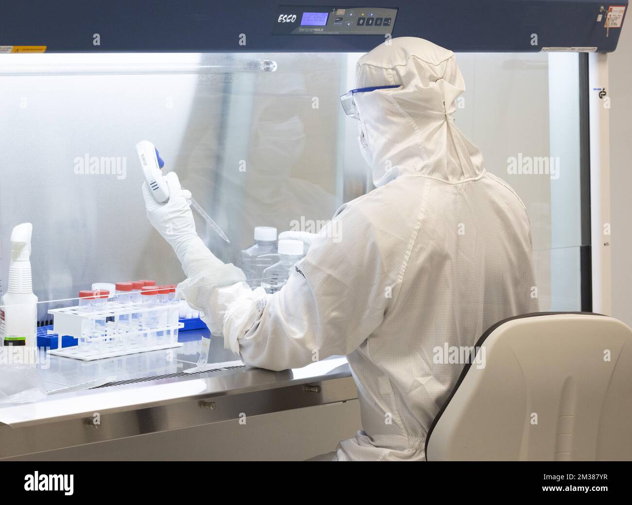 Illustration picture shows the Exothera viral vectors manufacturer, an ...