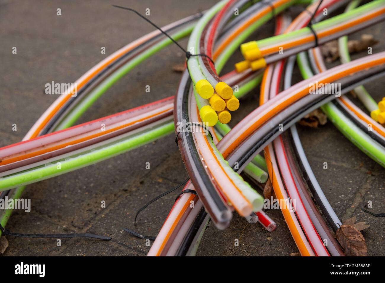 Proximus fiber hi-res stock photography and images - Alamy