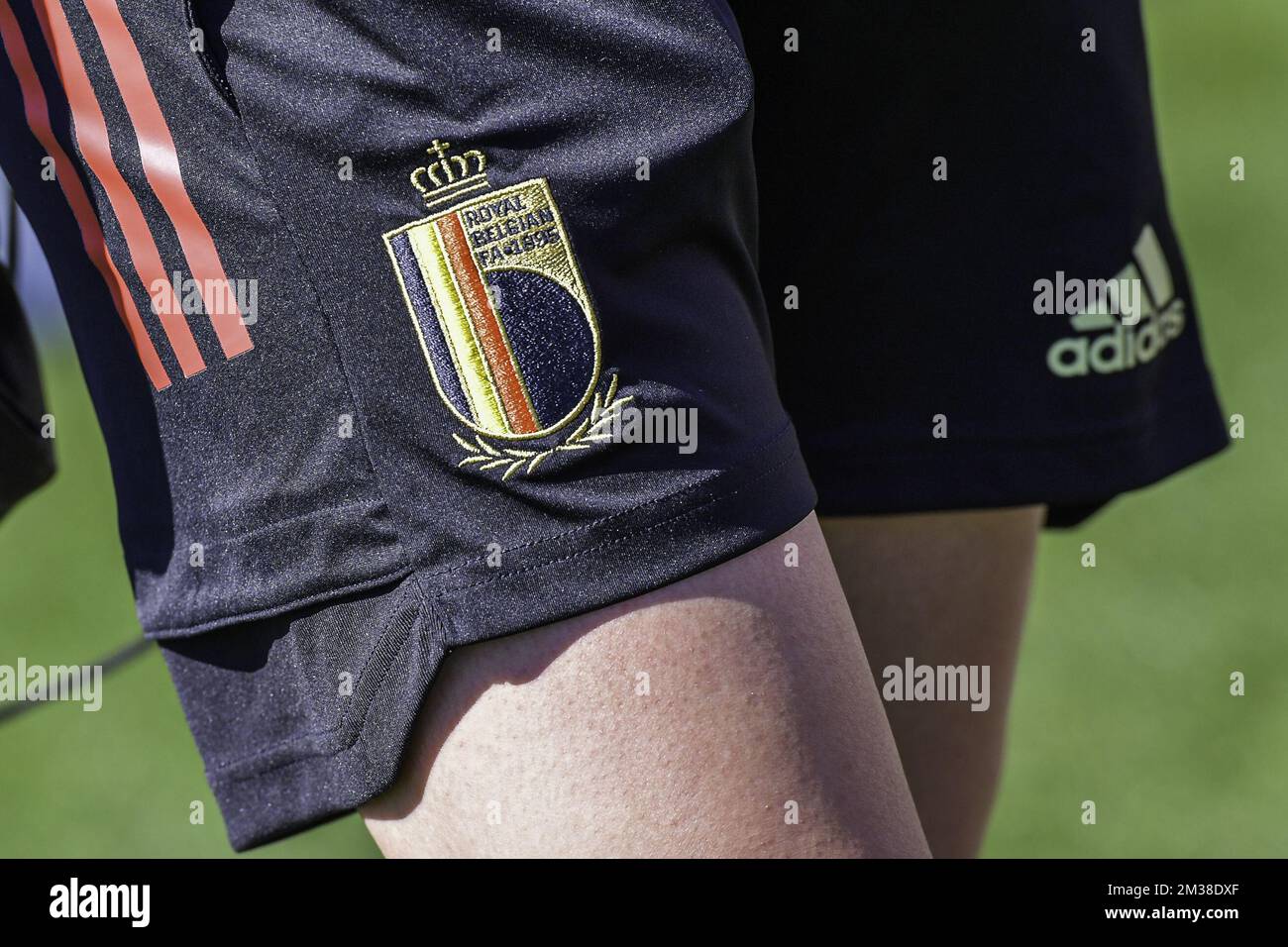 Illustration picture shows the logo of the Royal Belgian Football ...