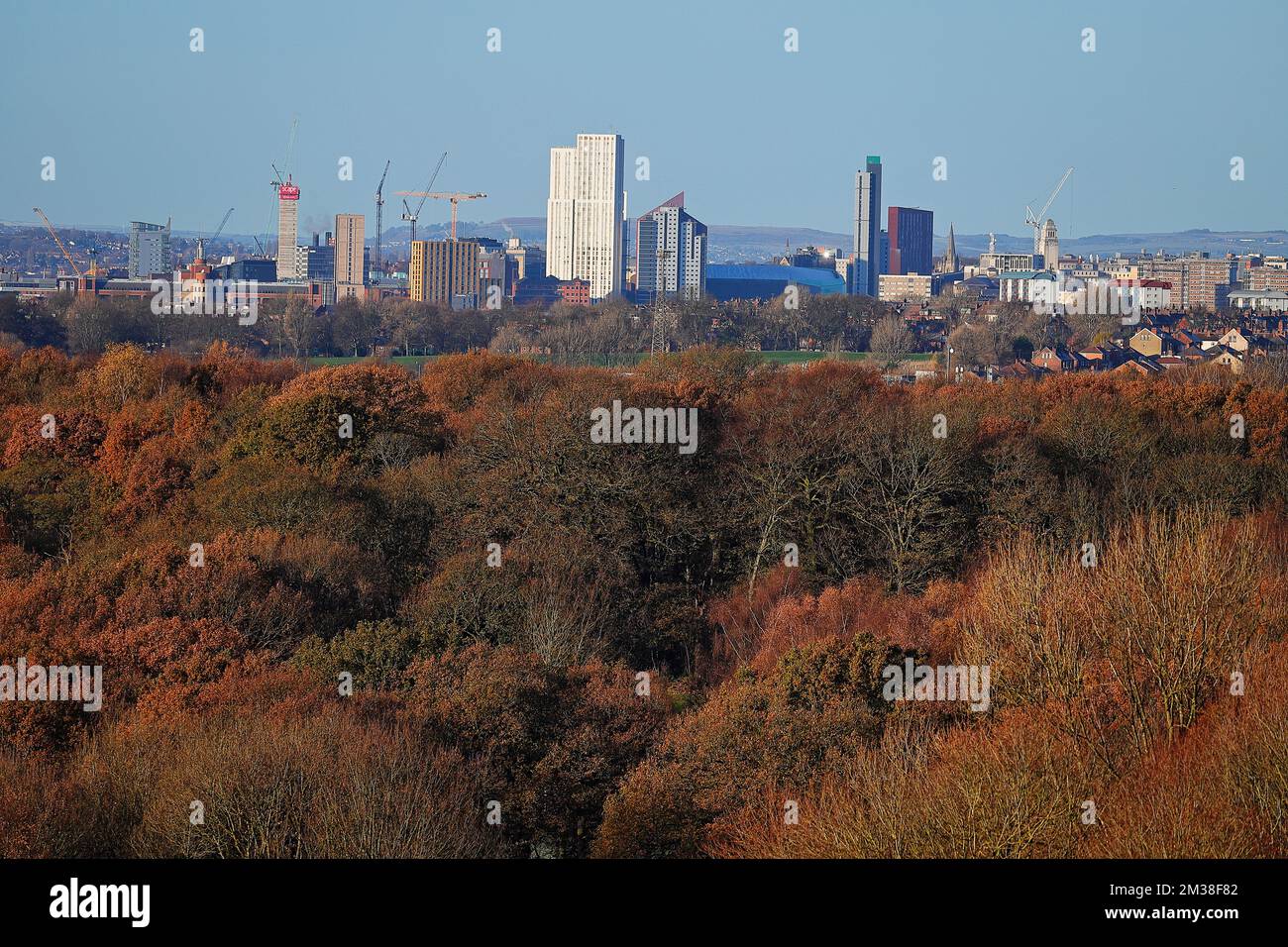 A view of Leeds City Skyline on an Autumn day, taken from Temple Newsam ...