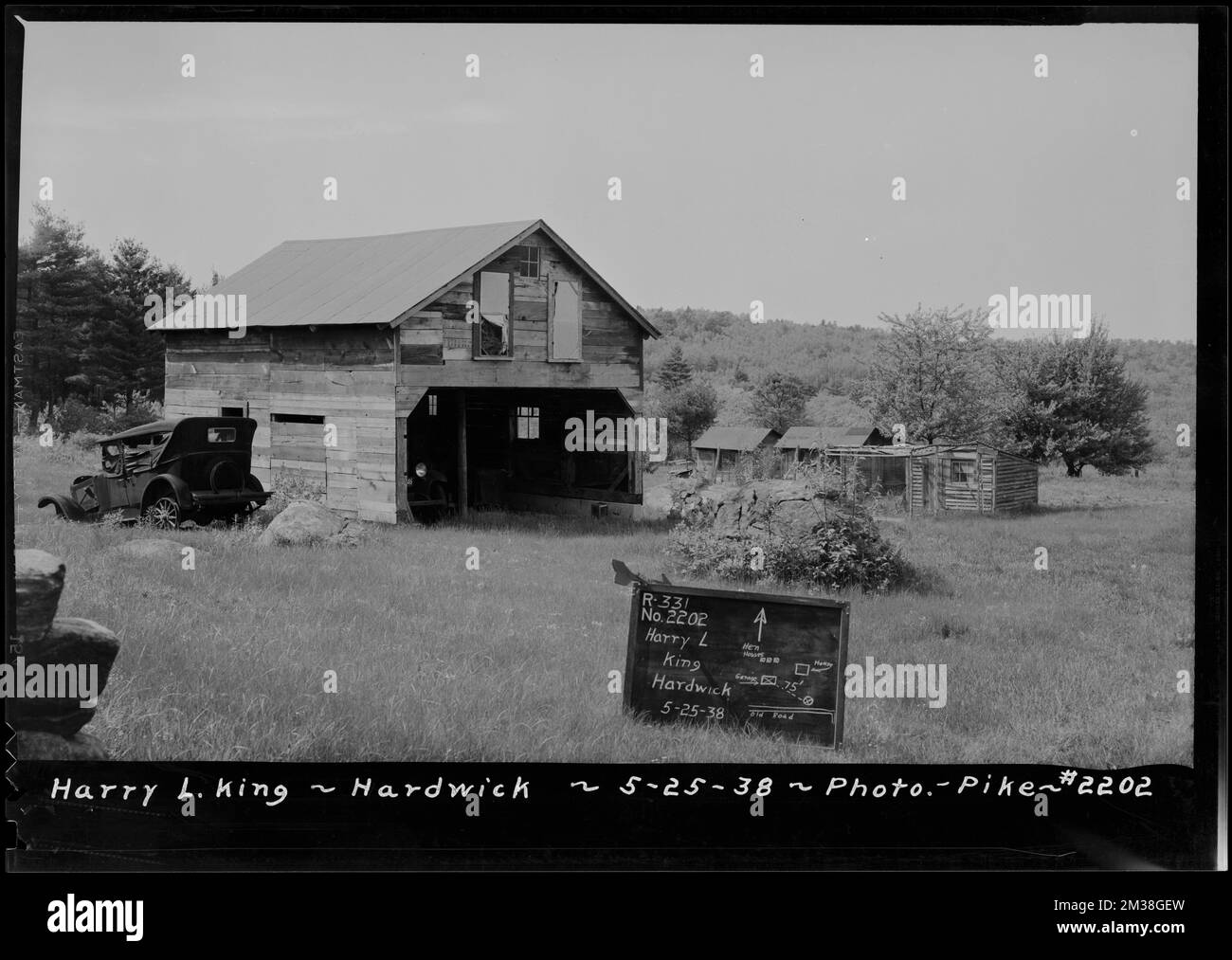 Real chicken Black and White Stock Photos & Images - Alamy