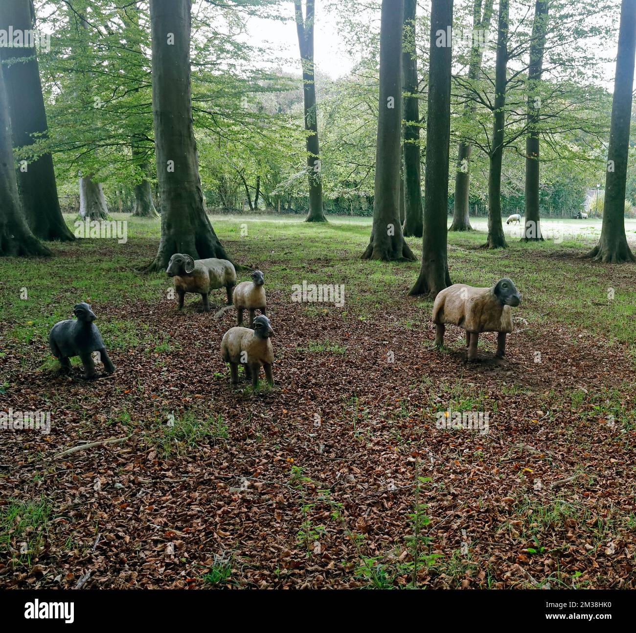 Fake sheep in a small woodland part of a pasture - sculptures in a ...