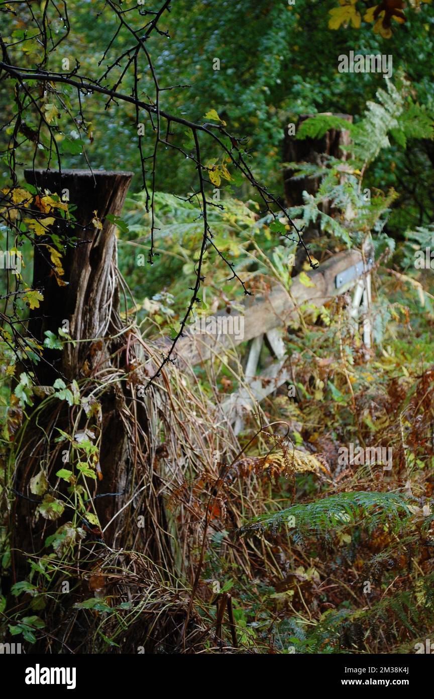 The Old Gate Stock Photo - Alamy