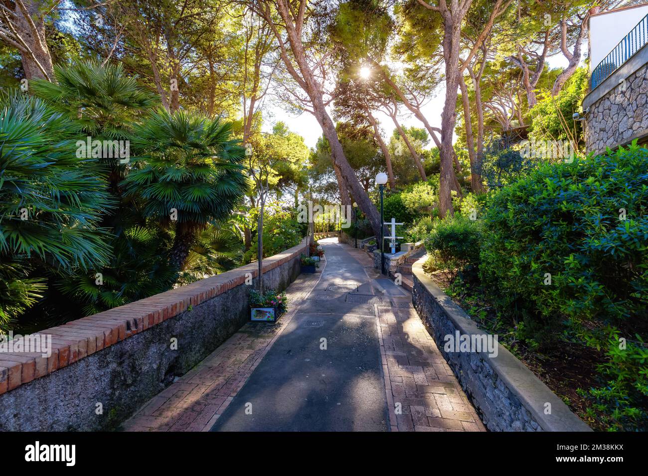 Naples botanical garden hi-res stock photography and images - Alamy