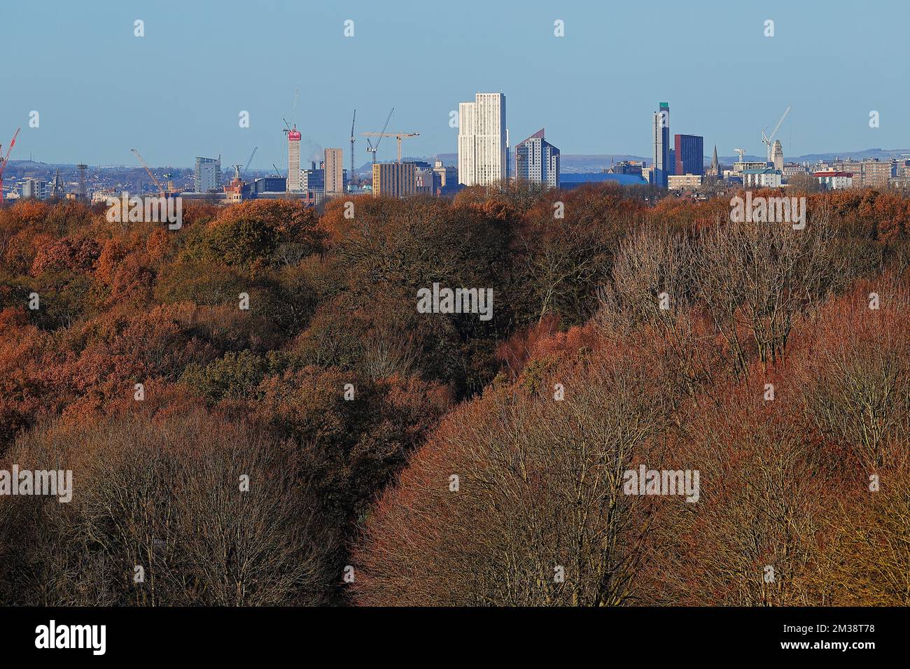 A view of Leeds City Skyline on an Autumn day, taken from Temple Newsam ...
