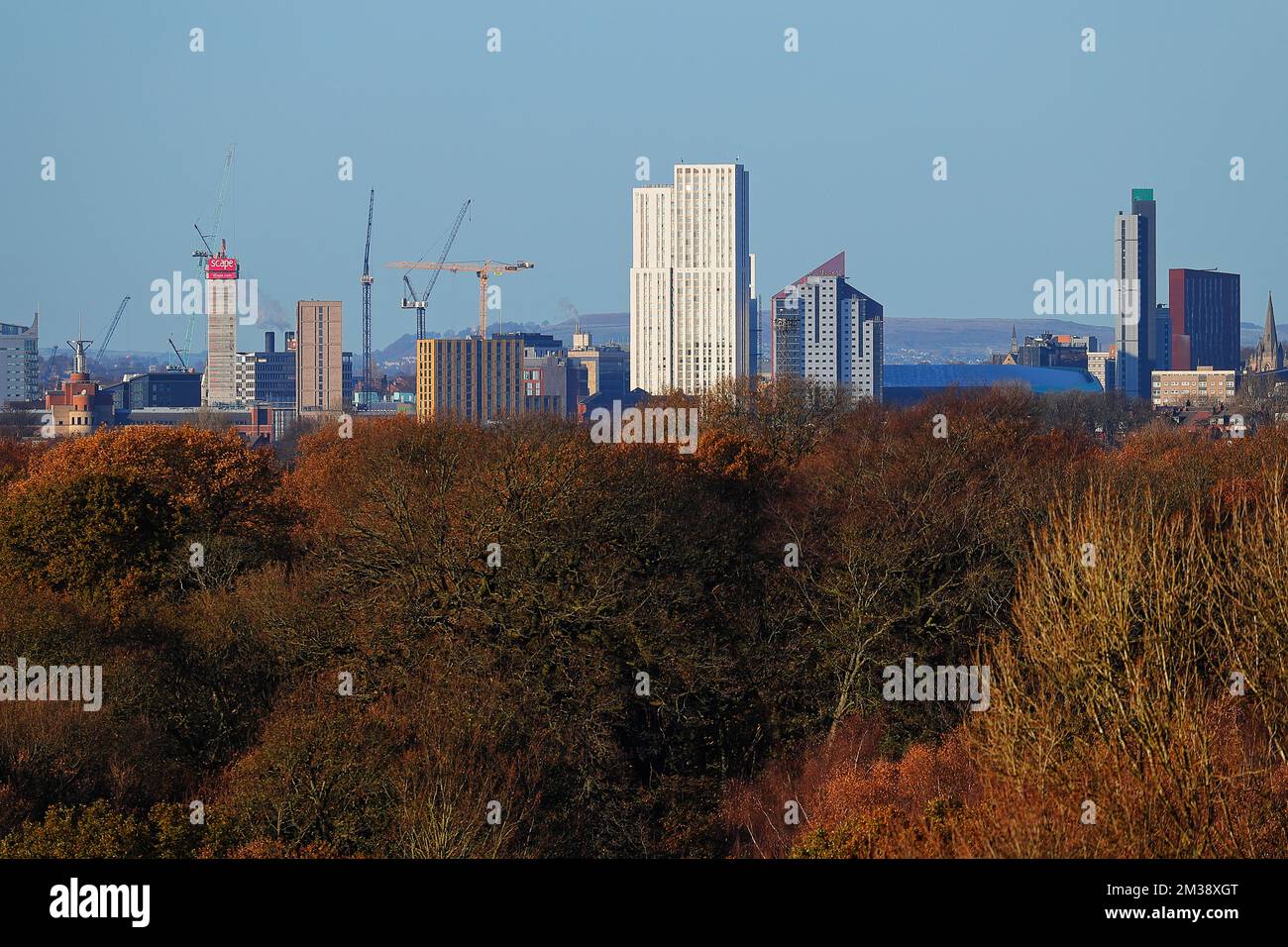 A view of Leeds City Skyline on an Autumn day, taken from Temple Newsam ...