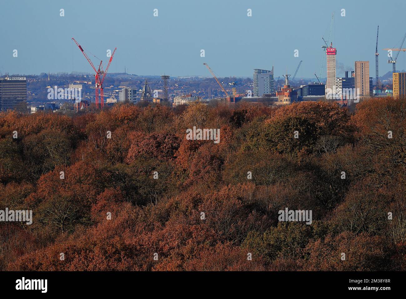 A view of Leeds City Skyline on an Autumn day, taken from Temple Newsam ...