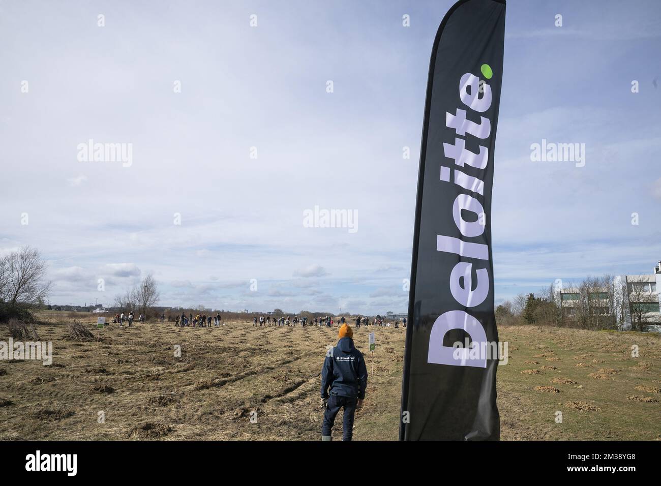 Illustration shows workers of Deloitte planting trees in Zaventem on ...