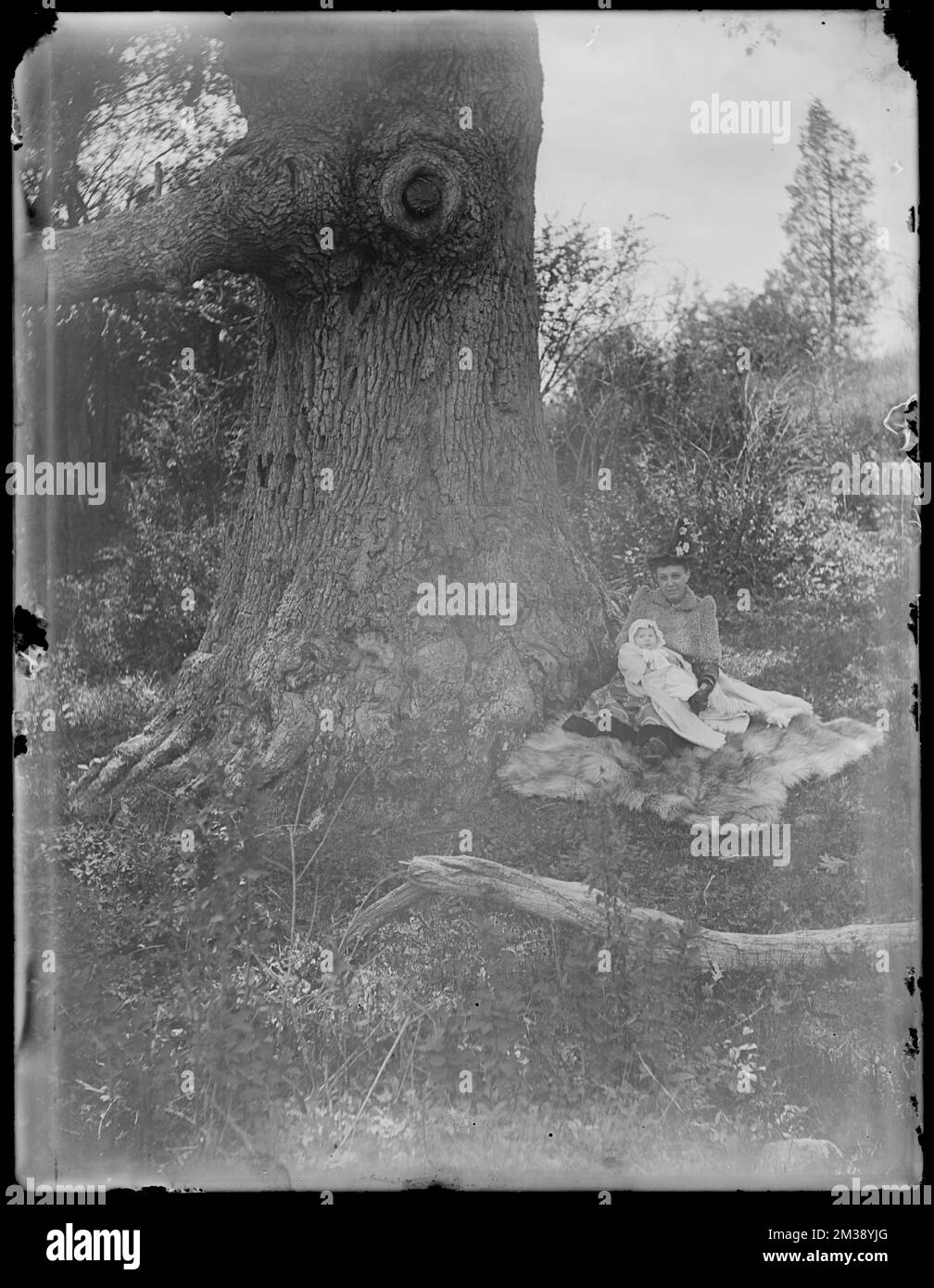 Hazel in cap under Waverly Oake 6m. old , Edgar Sutton Dorr Photograph ...