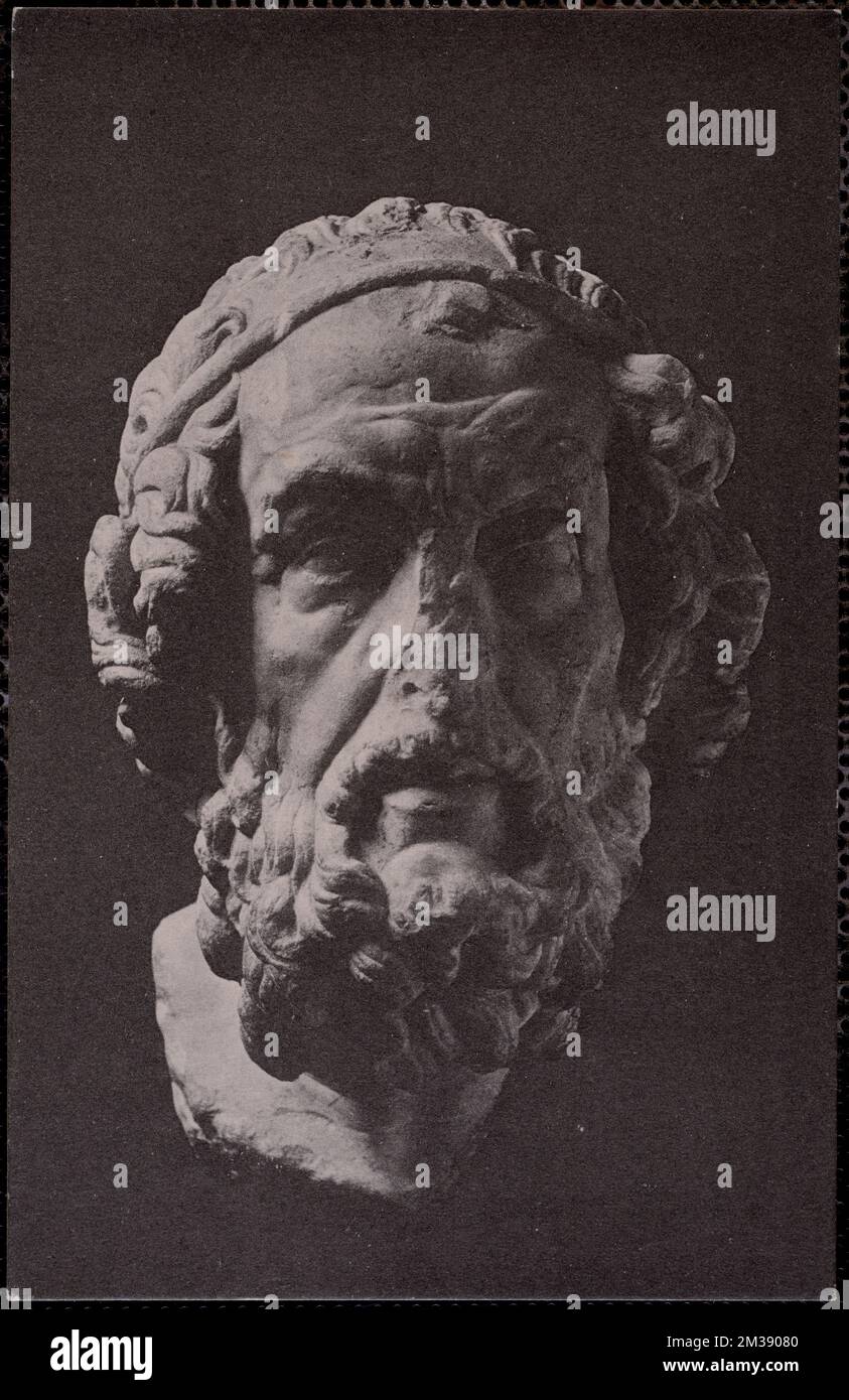 Head of Homer. Marble, Hellenistic. Museum of Fine Arts, Boston, Mass ...