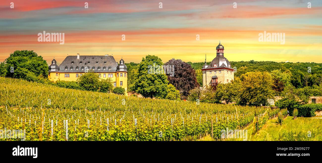 Castle Vollrads, Geisenheim, Germany Stock Photo - Alamy