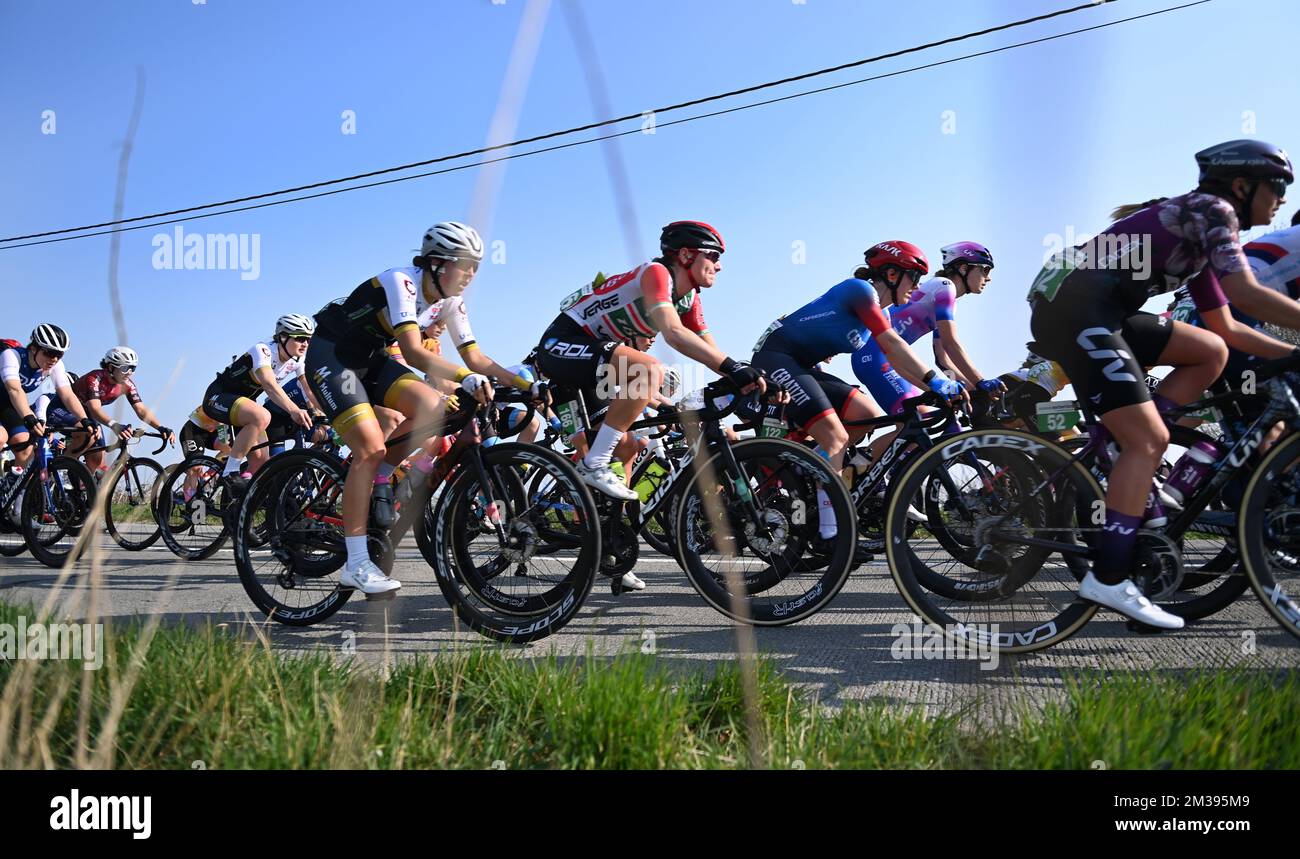 Illustration picture shows the pack of riders in action during the ...