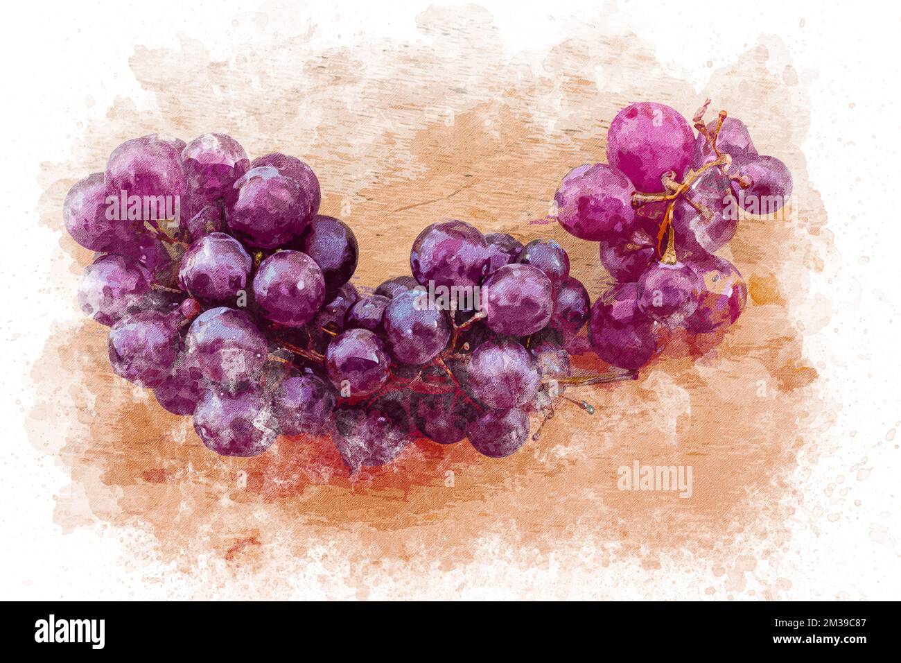 Watercolor painting of grape fruit on table top view. Watercolor red grape illustration ...