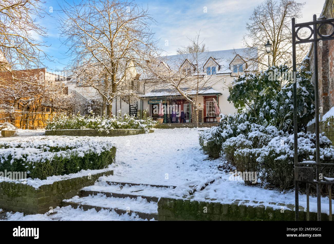 Snow covered trees and gardens Waxhouse Gate, St. Albans, Hertfordshire ...