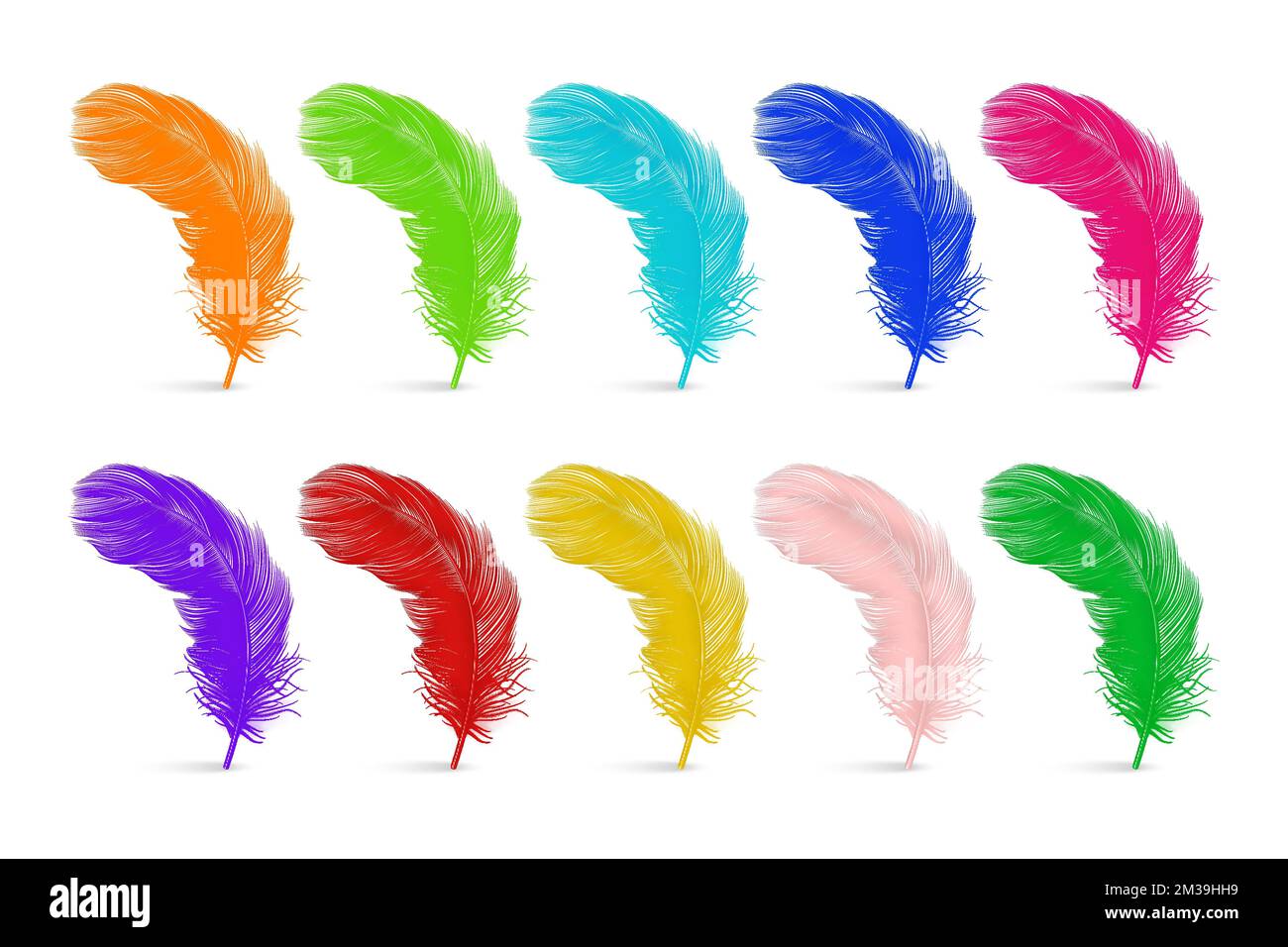 Vector 3d Realistic Multicolored Fluffy Feather Set Isolated on White ...