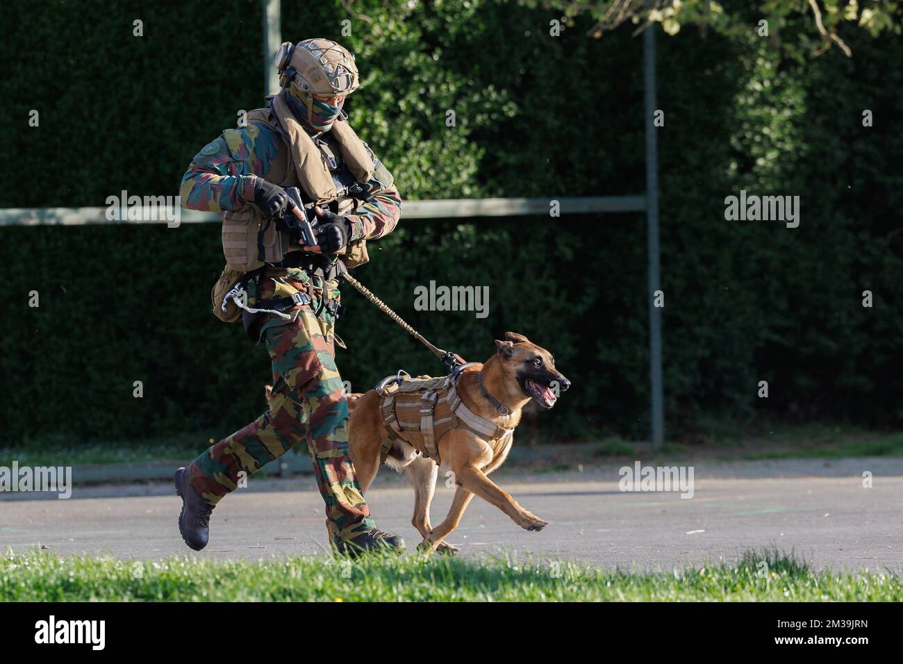 Illustration picture shows a military excercice called Nemesis ...