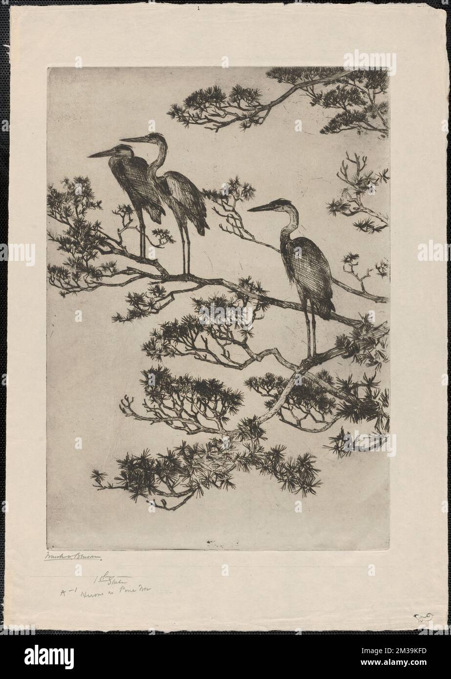 Frank benson herons hi-res stock photography and images - Alamy