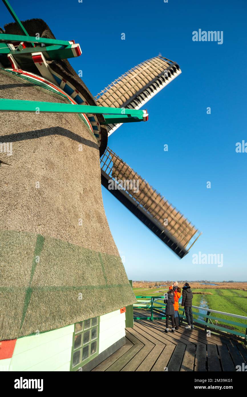 Windmill de Kat, Zaanse Schans, NL. A family looks up at the rotating sail on a clear breezy day ...