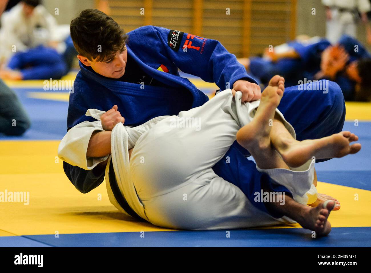 Judo european championships hi-res stock photography and images - Alamy