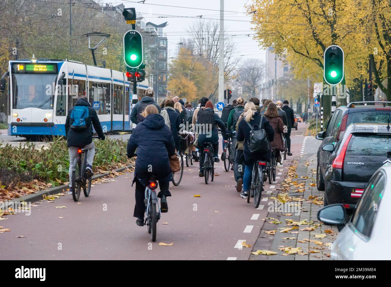 Cyclists in Amsterdam commuting, riding on cycle path, Netherlands ...
